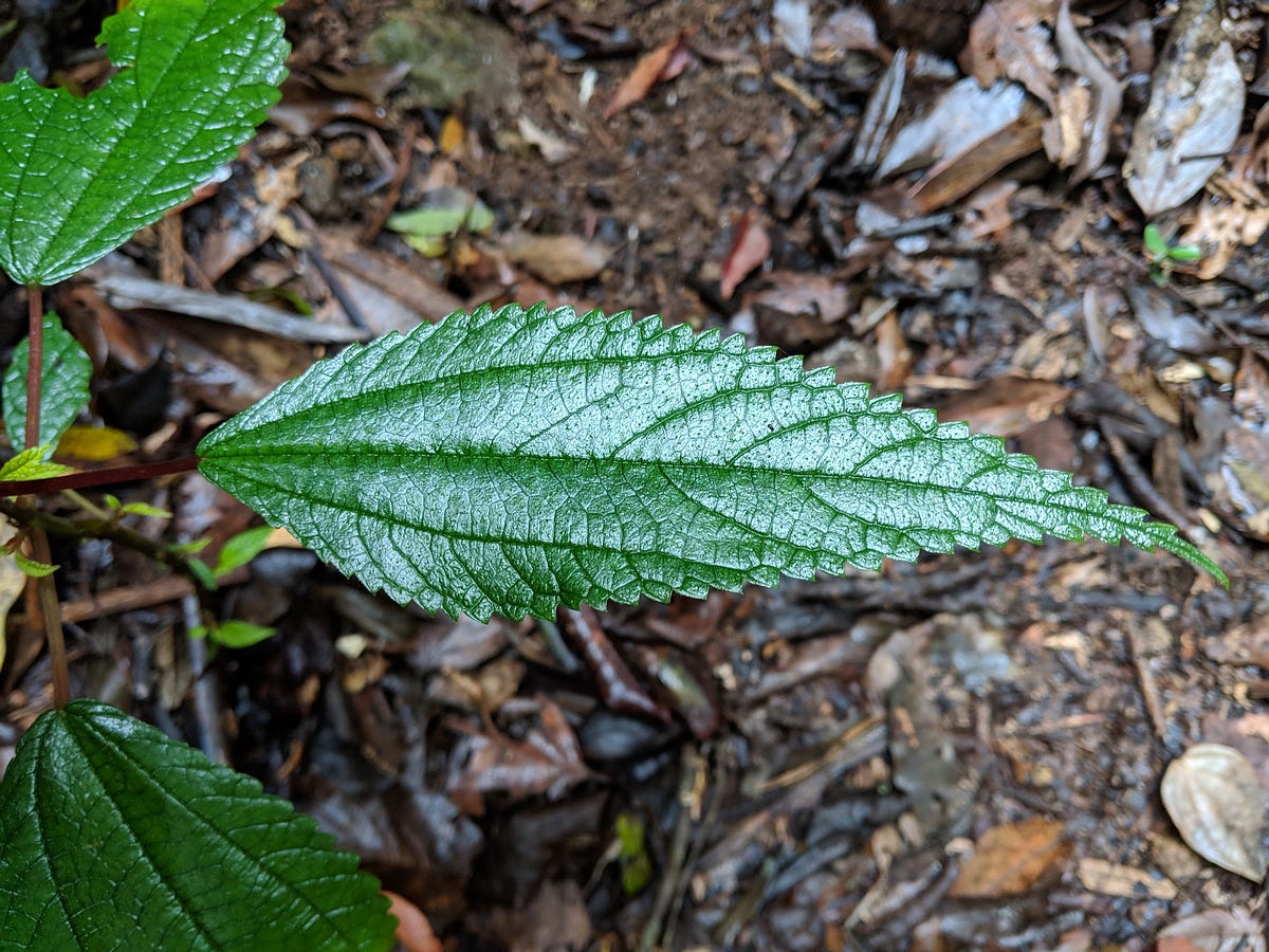 F-string formatting in Python3. As a programmer, we always want to try ...