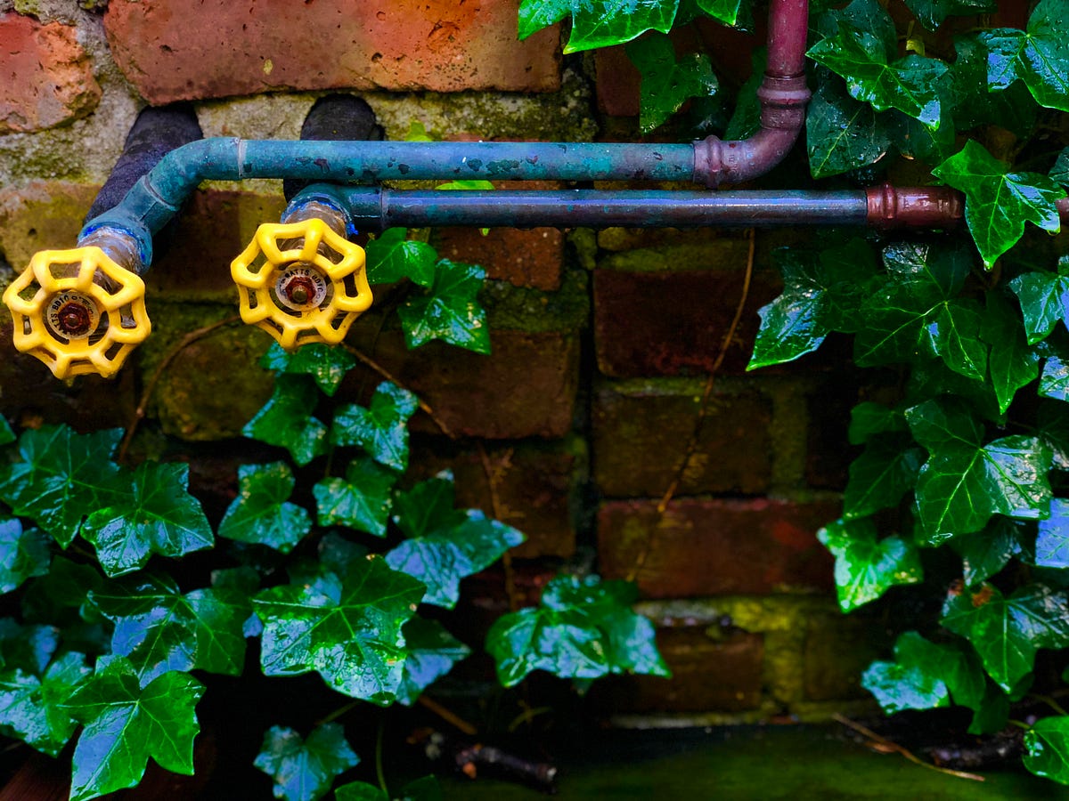Summer Graves. I almost took the wrong bus. I was… | by Reuben Levine ...