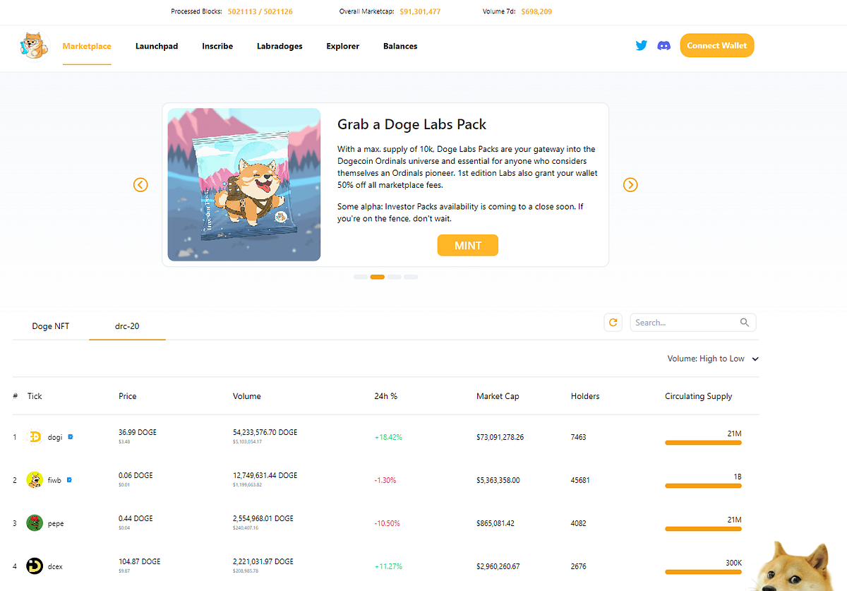 Minting DRC-20 Tokens on DOGE. Quick guide to get started | by ByteDegen | Medium