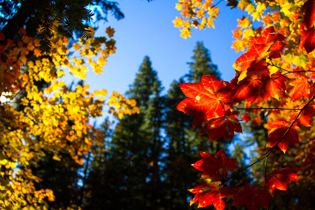 How to view things from a bigger perspective? | The Orange Journal