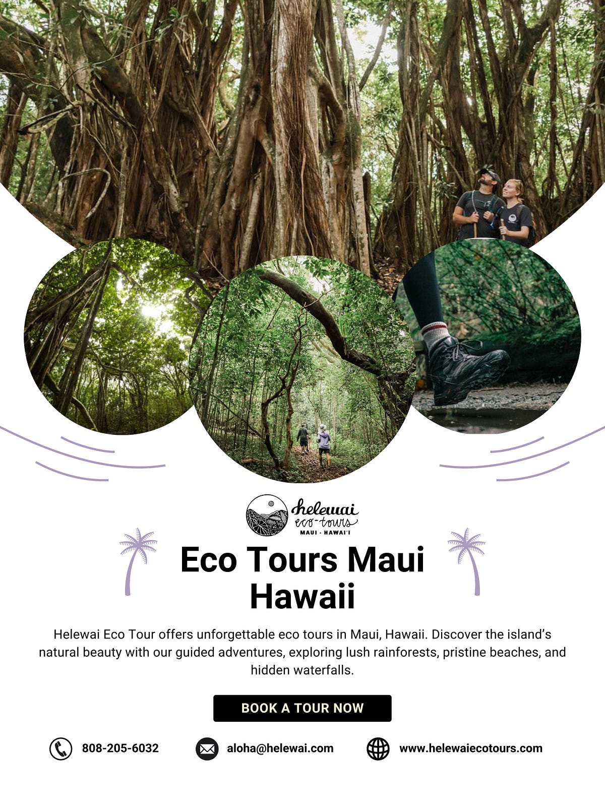Eco Tours Maui Hawaii - Helewaiecotours - Medium