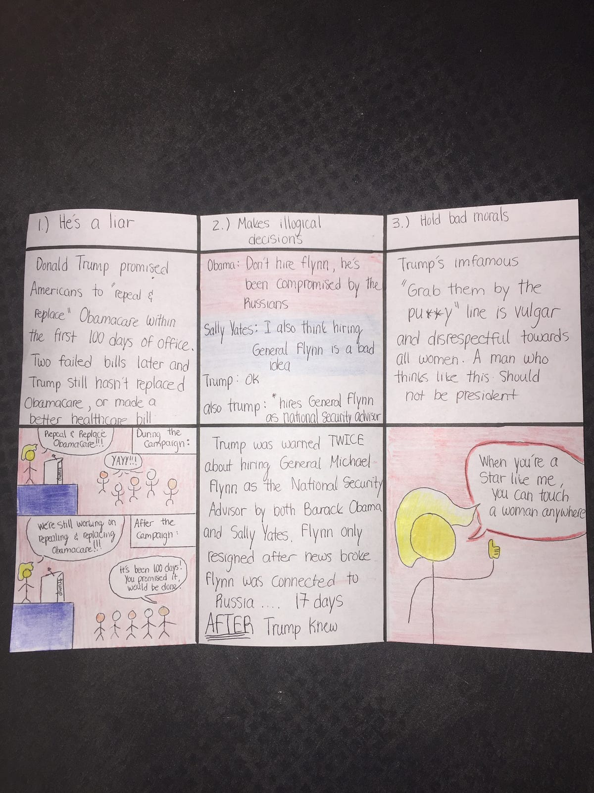 Genre Transformation: Political Brochure | by Nicholas McCord | Medium