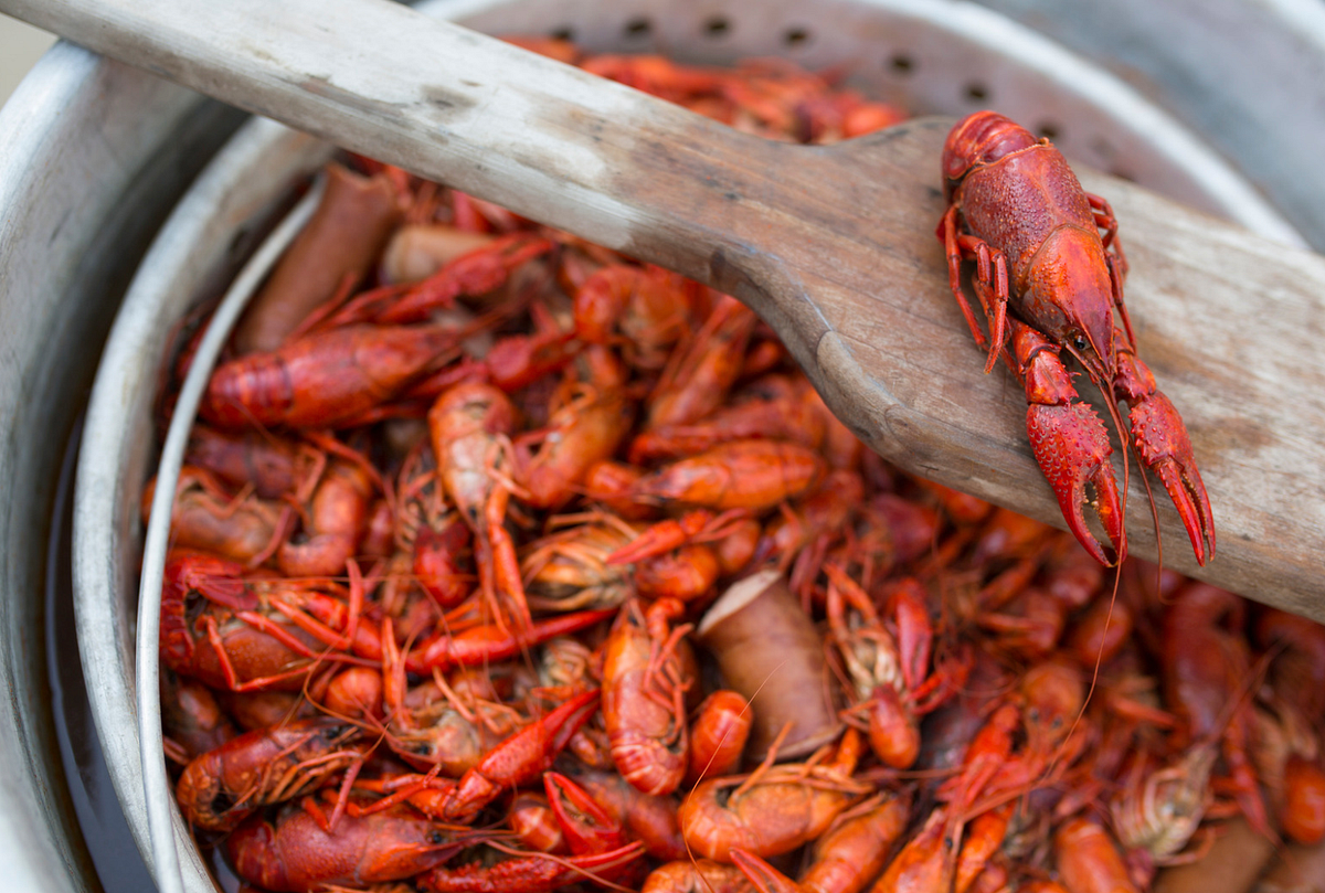 A Louisiana Delight: Perfecting the Crawfish Boil Recipe | by James ...