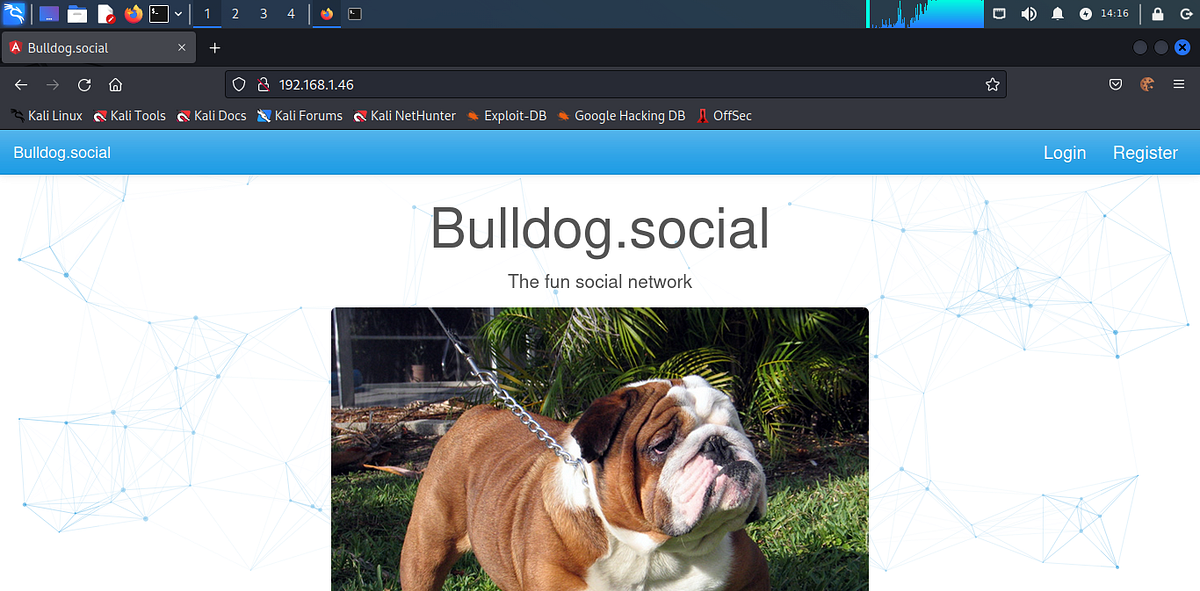 Vuln Hub: Bulldog-2. Herkese merhaba arkadaşlar. Bu gün… | by Emre Celebi | Medium