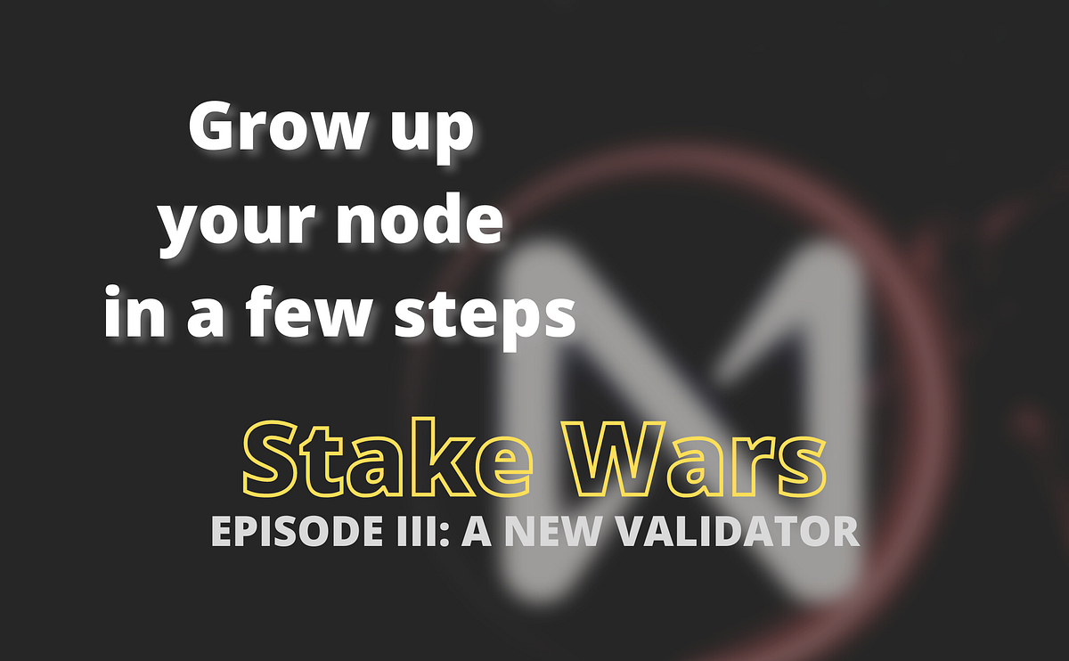 How to grow up your own Validator Node on Near Protocol? [StakeWars III ...