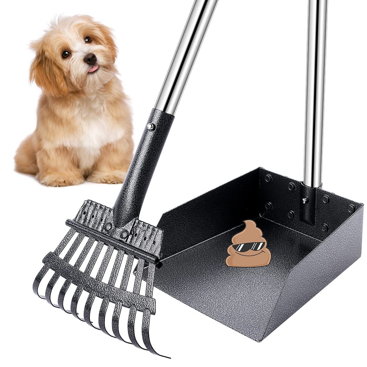 Reliable Pet Waste Removal Service in Kansas Maintain a pristine yard ...