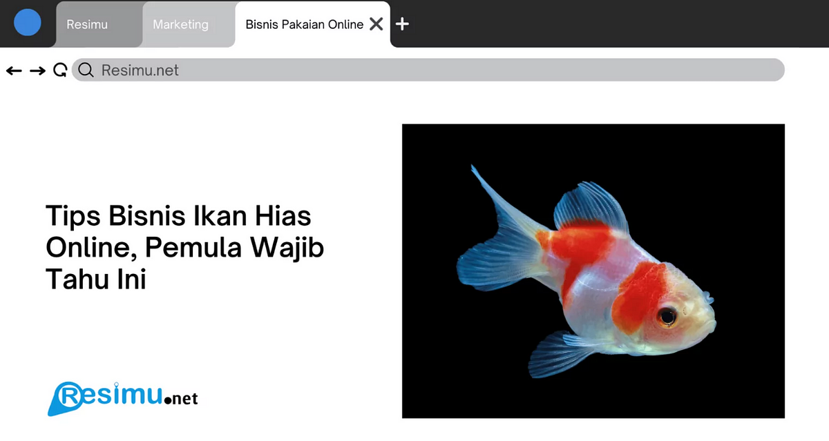Tips Bisnis Ikan Hias Online, Pemula Wajib Tahu Ini - Cekresi.me - Medium Tips Bisnis Ikan Hias Online, Pemula Wajib Tahu Ini - Cekresi.me - Medium