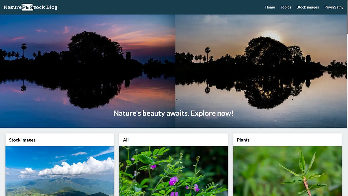 Exploring Nature’s Wonders: Welcome to the NaturePicStock Blog | by ...