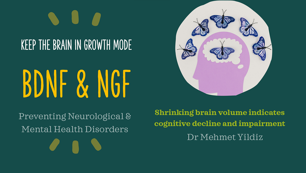 The Brain Must Be in a Growth Mode to Prevent Neurological & Mental ...