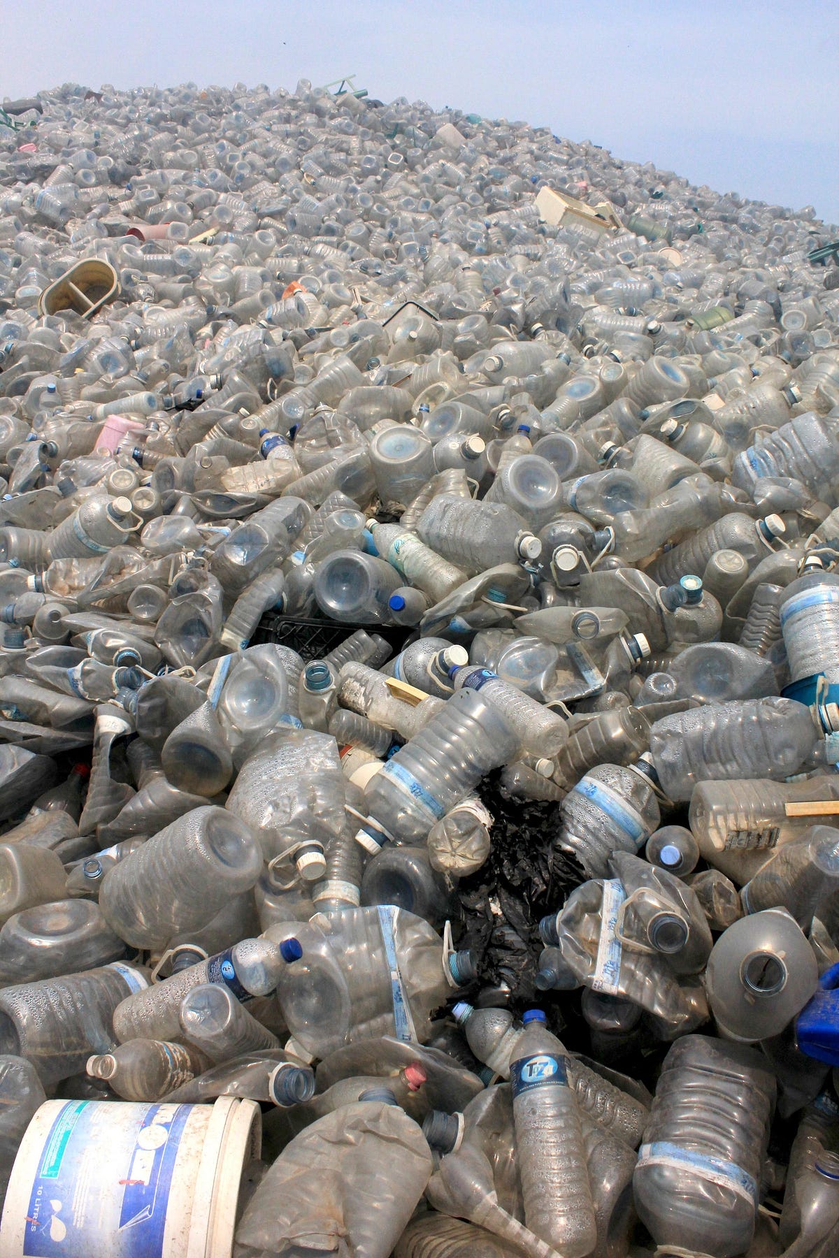 Toxic Trash:. The Dangers Of A Plastic Covered World | by Alexandra ...
