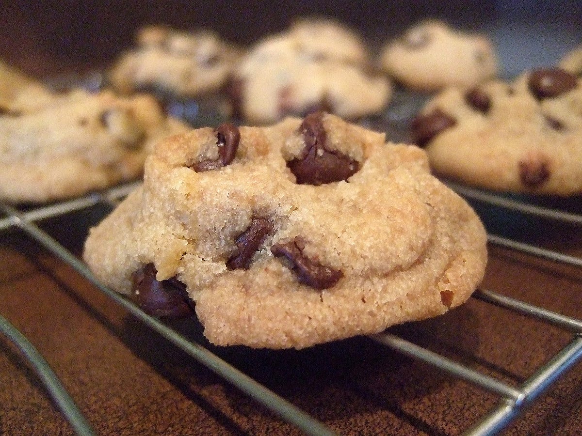 I refuse to support the sweet tooth of cookie-seeking “allies.” | by ...