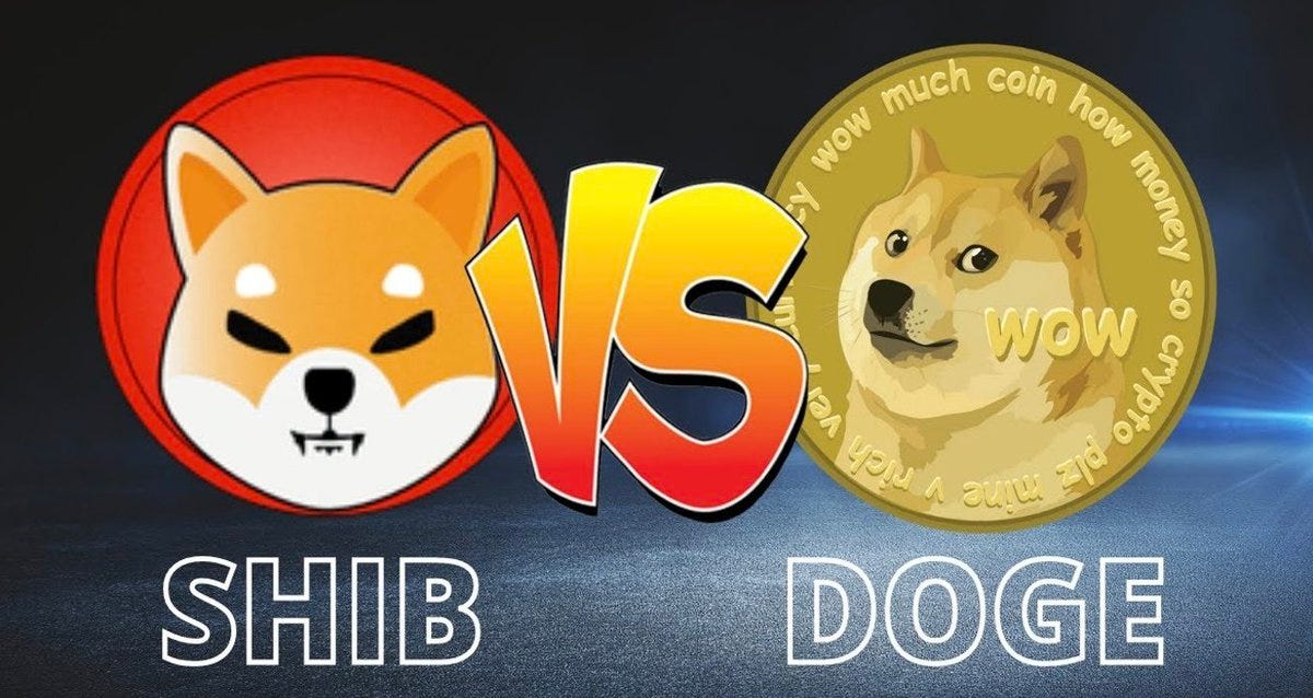 Dog Eat Dog: SHIB v/s DOGE To Be The One. - CoinMarketRoot - Medium