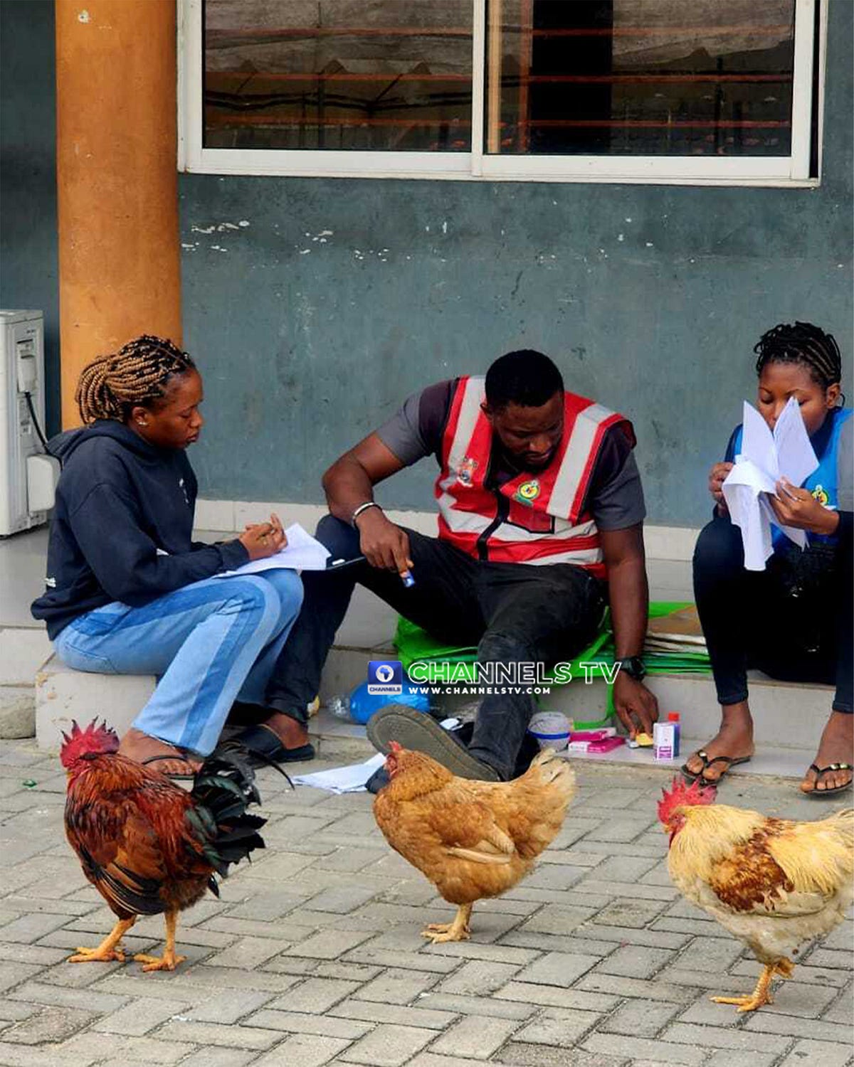 Lagos State Local Government Area Elections, 2025 Had Fowls in ...
