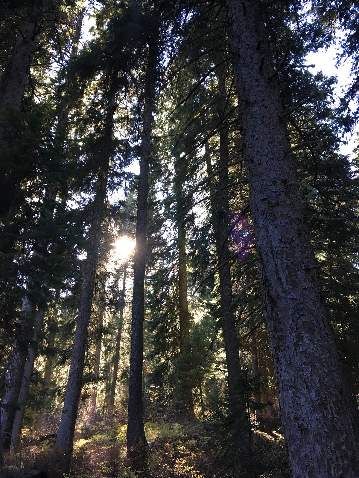 Yearning. I so deeply yearn for a tenderness… | by Kristin Marie | Medium