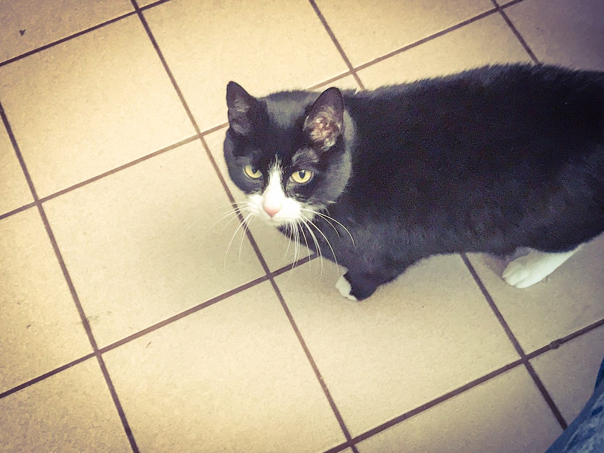 6/365. Sad face. | by HiddenRedHead71 | Medium