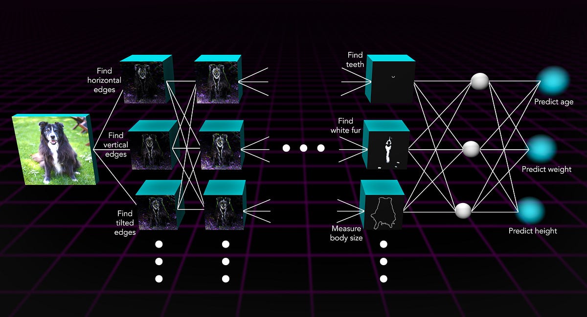 Convolution Neural Network (CNN) & MATHS behind CNN | by Seeratpal ...