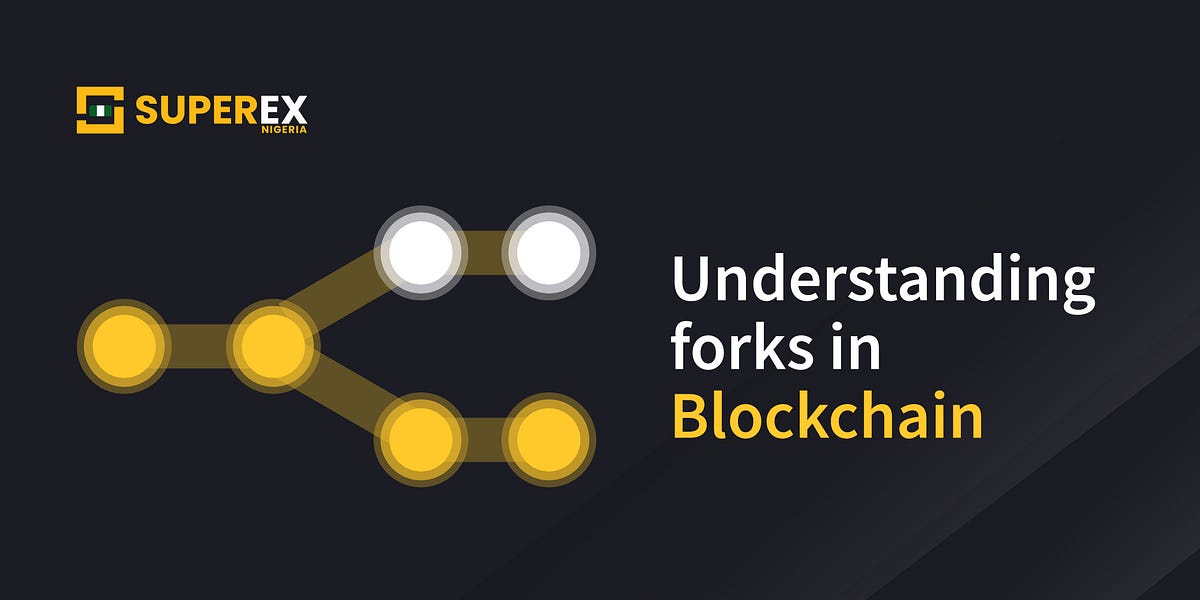 Understanding Forks In Blockchain | by SuperEX Nigeria | Medium