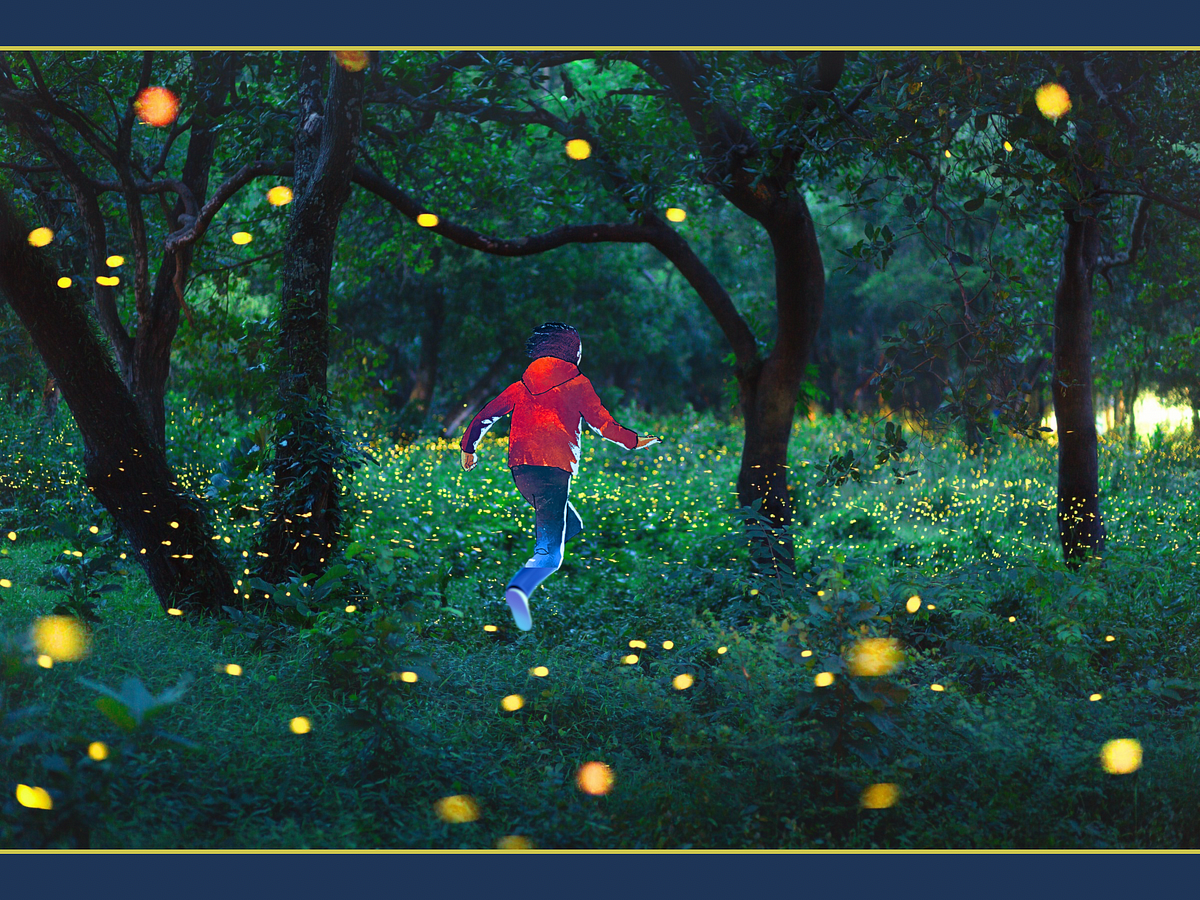 Chasing Flow by Following the Light of Fireflies | Field Notes from SMcW