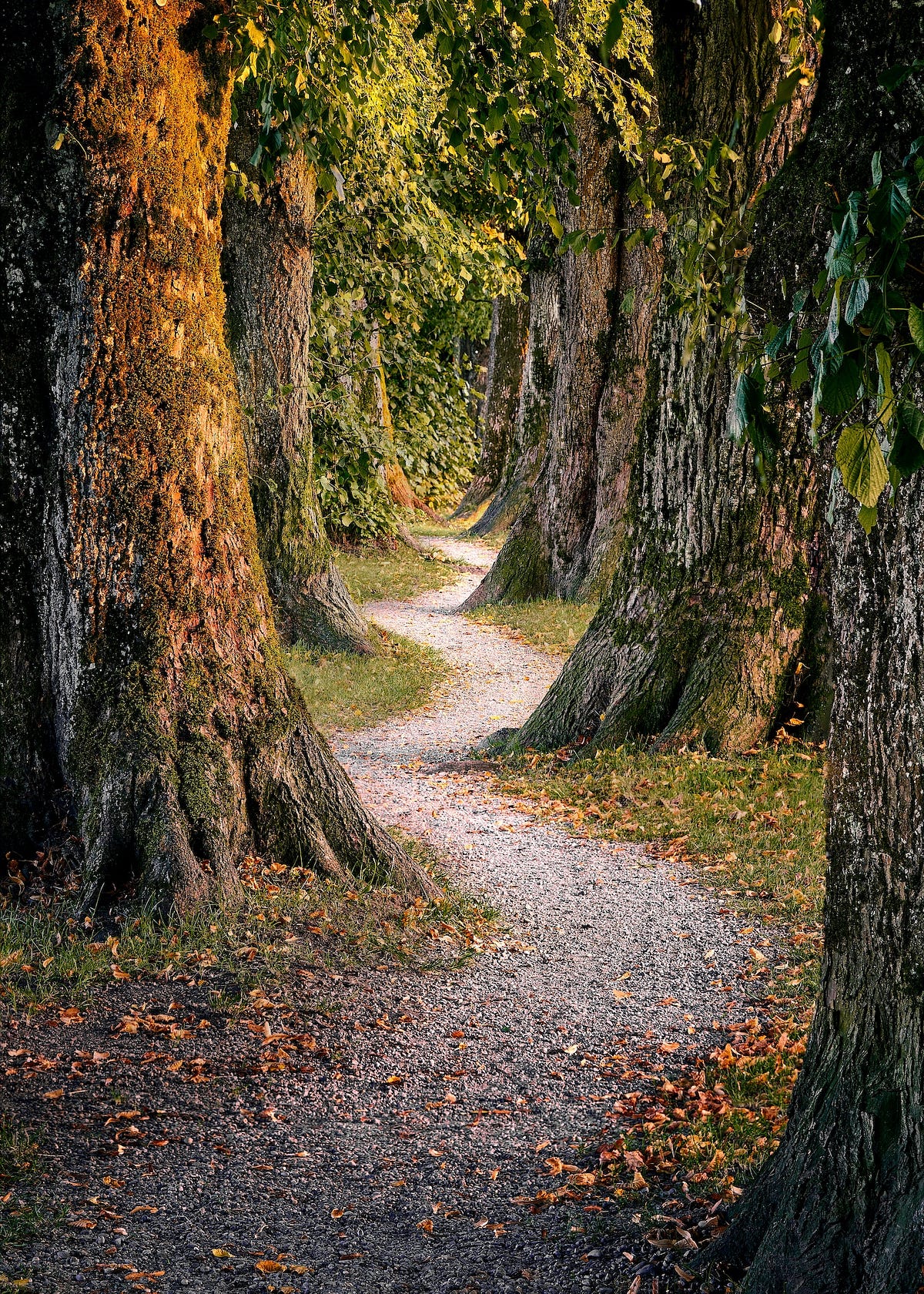 Manuscript recipe III: Stick to the path | by Vilja Hulden | Sep, 2025 ...