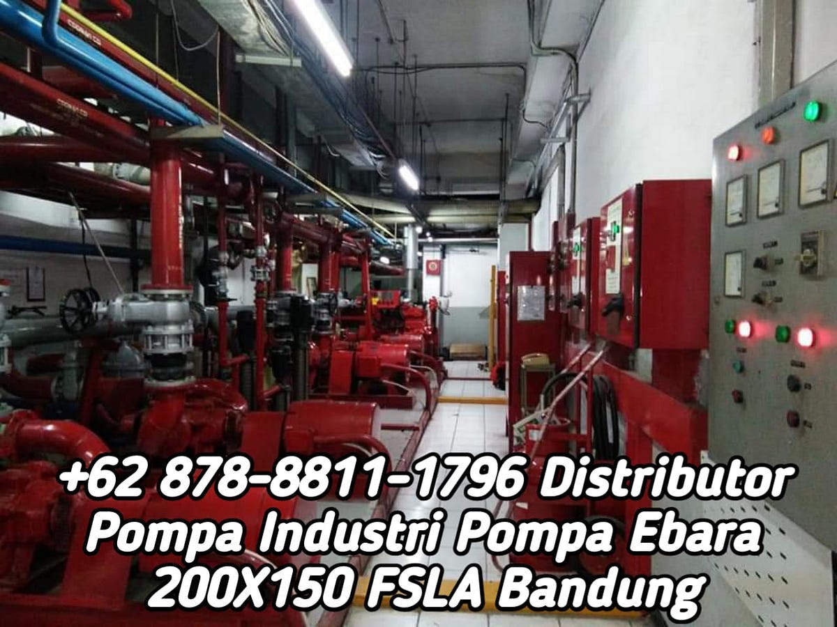 +62 878–8811–1796 Distributor Pompa Industri Pompa Ebara 200X150 FSLA ...