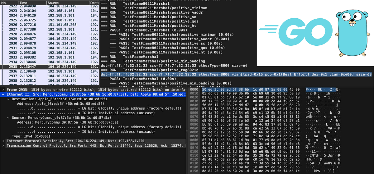 Comprehensive 802.3, VLAN, 802.1P Frame Serialization/Deserialization Guide Written in Go | by ...