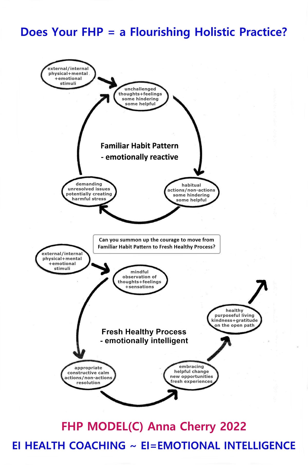 Is Your FHP Healthy?. Study the FHP Model(c) & ‘Eureka’ —… | by Anna ...