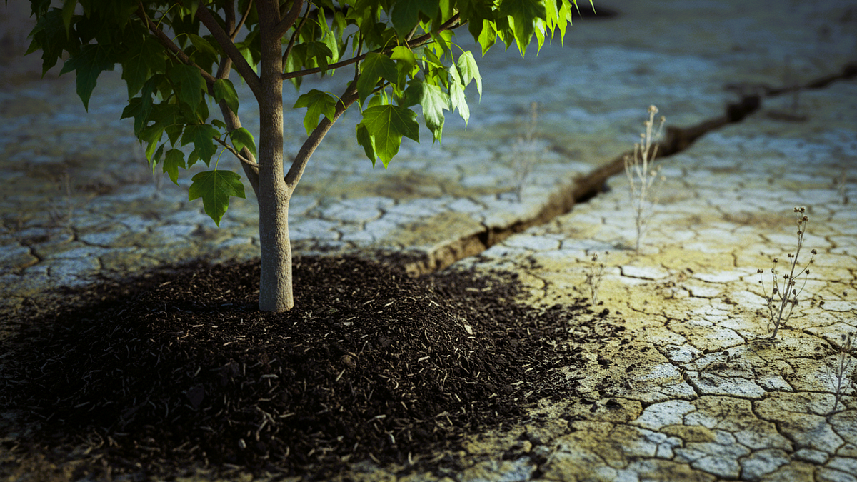Why Your Environment Shapes Your Spiritual Life | by Margie Collier ...