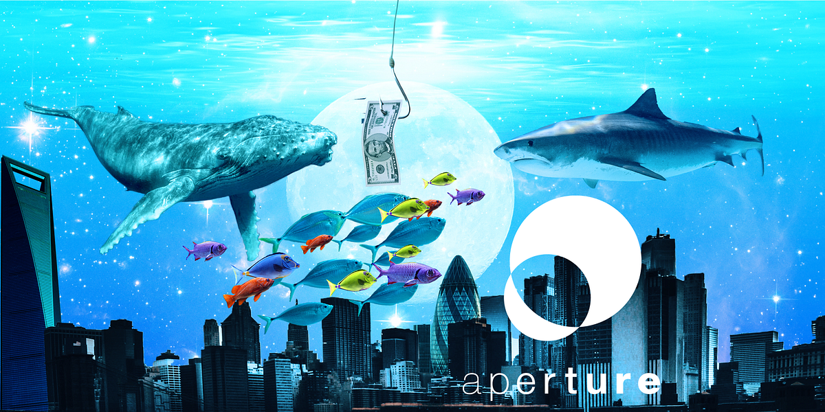 The energy in D2C is undeniable. [ a p e r t u r e | Newsletter #24 ...