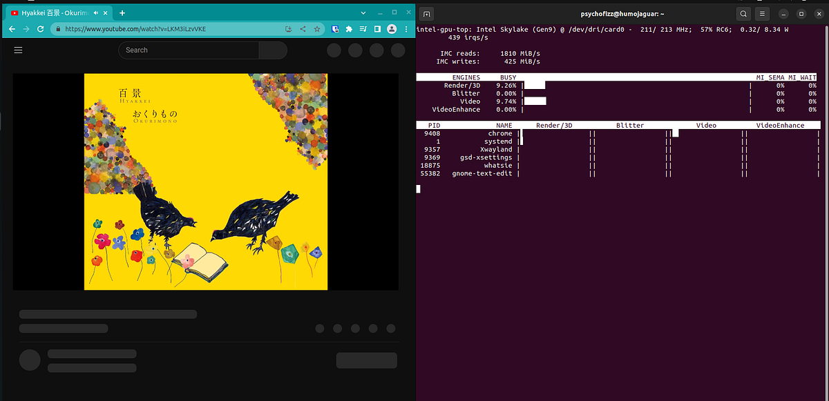 How To Hardware Decode Video Intel On Chromium Snap On Ubuntu 22 10 Wayland By Psychofizz