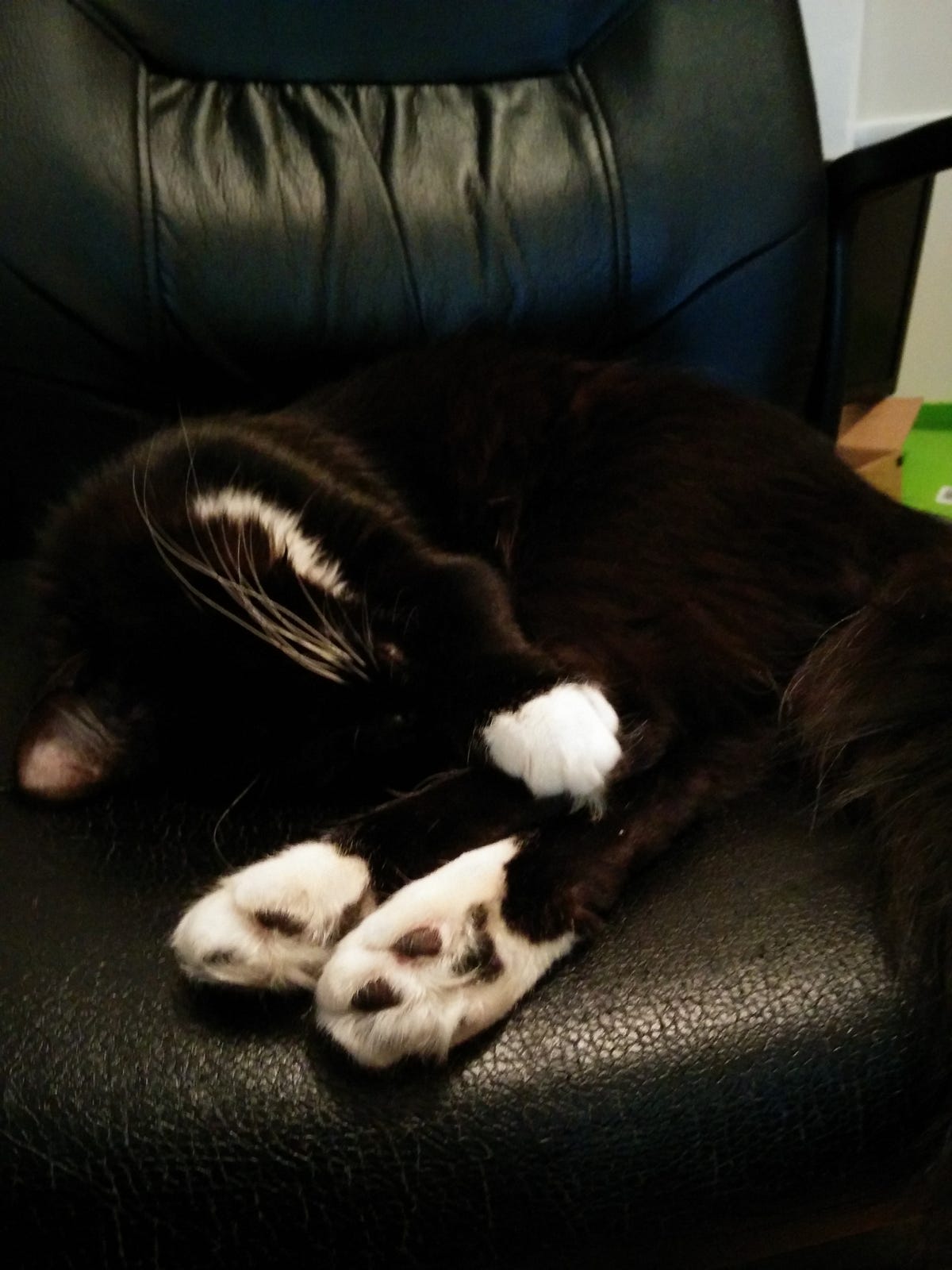 Finally asleep. Please leave me be | by Rickon LY | Medium