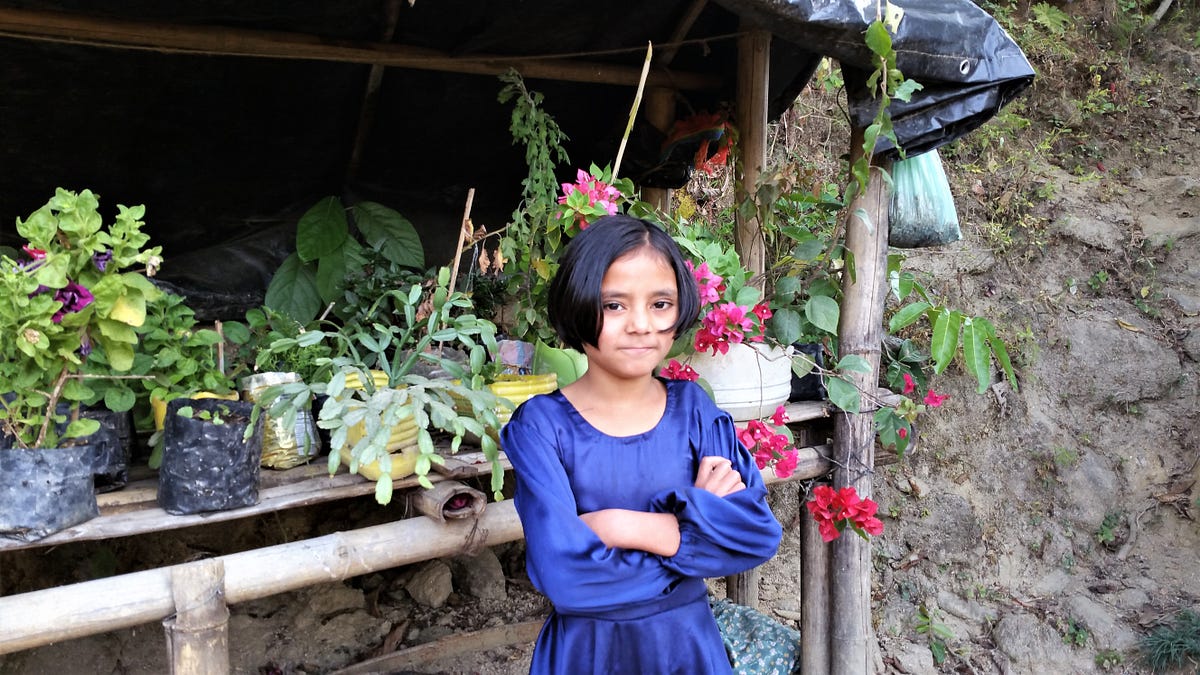 Finding a flower called Ajambari. Many years back, I had seen these ...