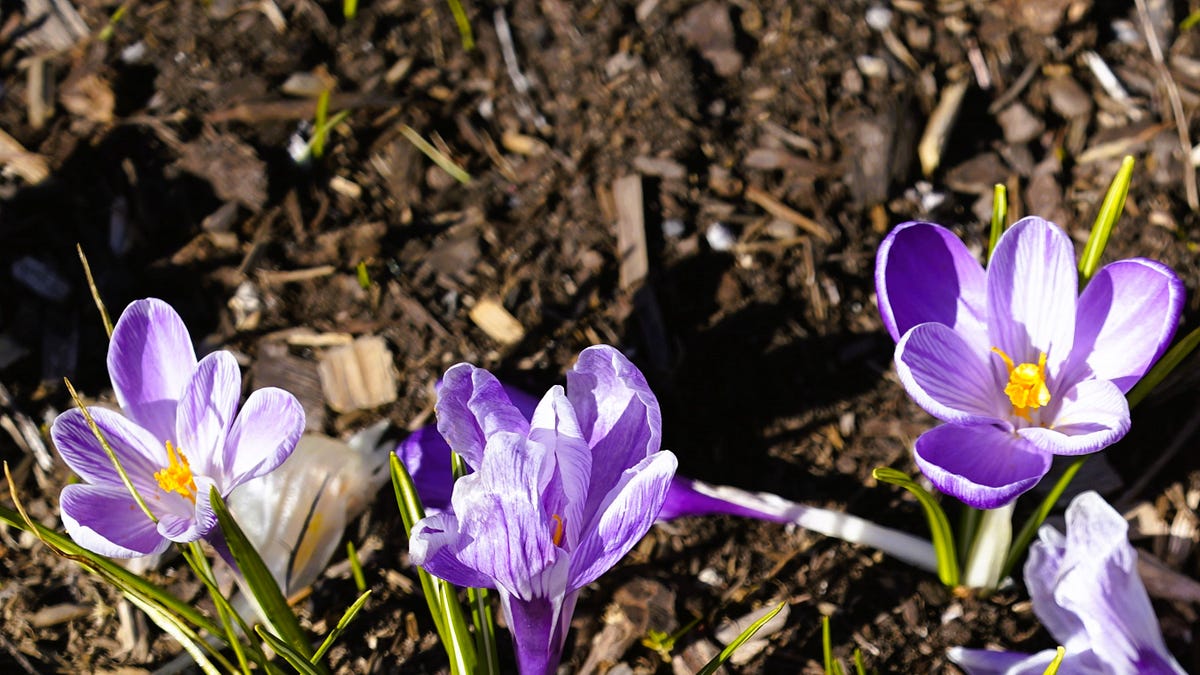 I Learned 3 Routines as a Nun for Integrating Mindful Journaling as a ...