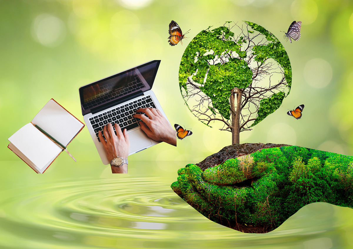Environmental Writing Portfolio: 5 Must-Have Samples That Land You Jobs ...