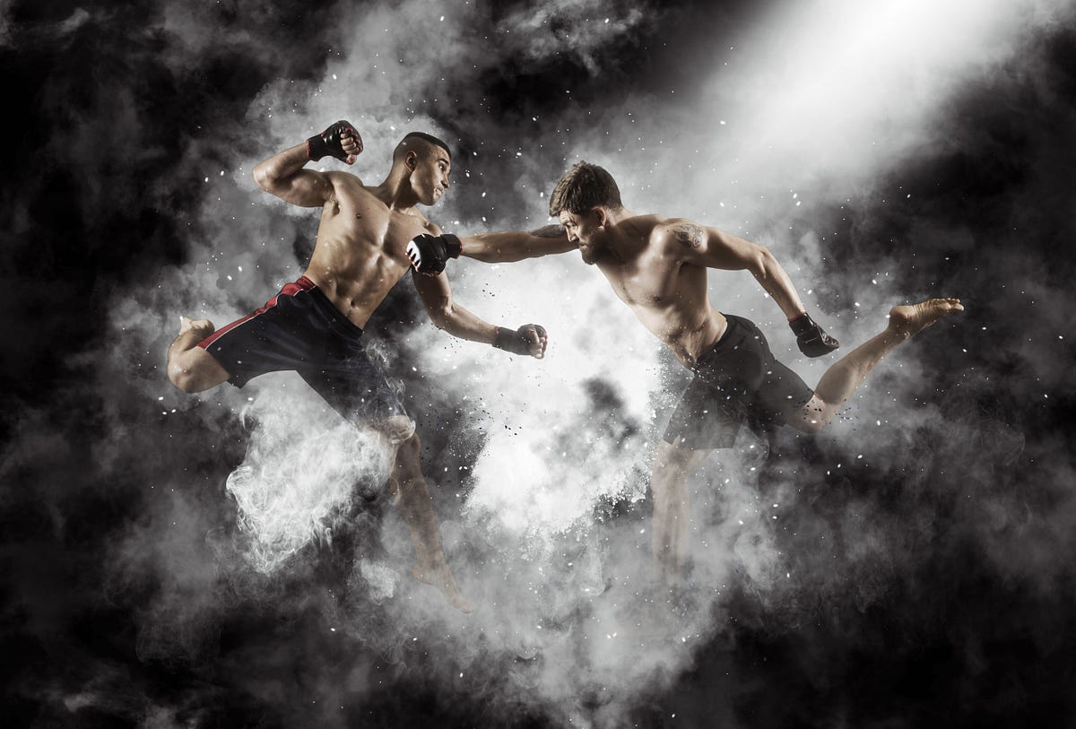 MMACOIN ($MMA) Update — Honey Badger Never Stops Grinding….. | by ...