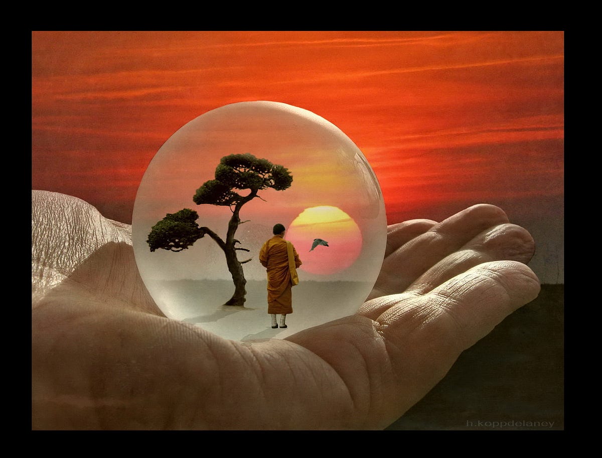 The Happy Balance of Compassion and High Standards | by Adam Crawford ...