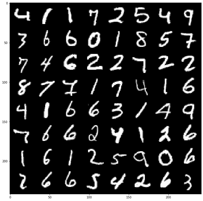 Generative Adversarial Network (GAN) using PyTorch | by Mac Abdul | Medium
