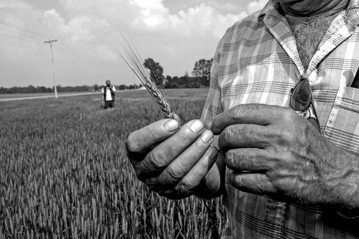 Personal Photography Projects.. Defining the line between art and… | by ...