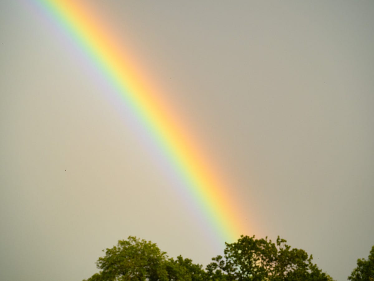 Catching Rainbows - Six Word Photo Story Challenge - Medium