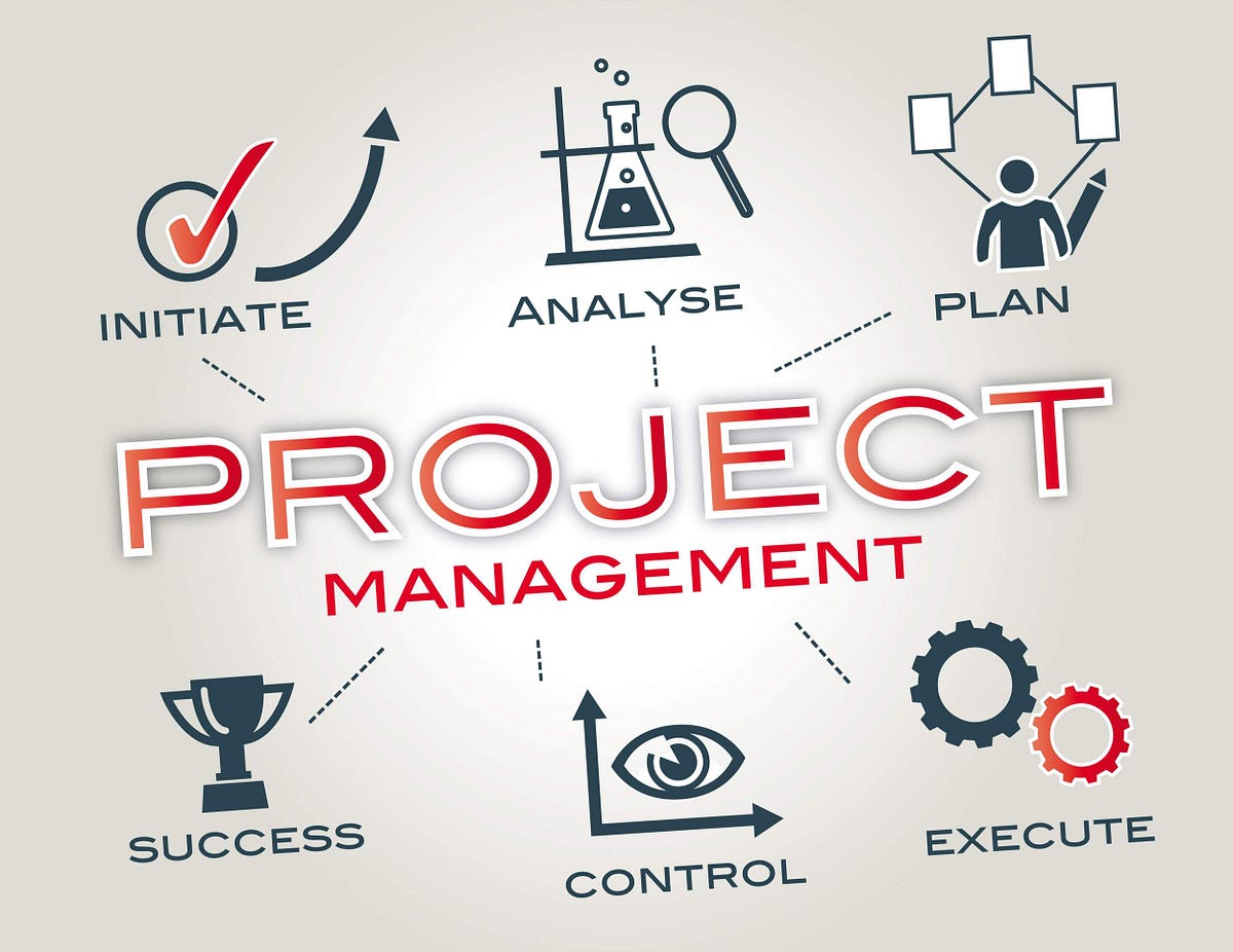The Dynamics of Project Success: A Management Guide | by Tanmay P ...