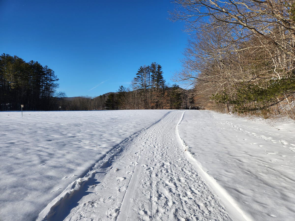A Super Warm January 2023 in New England and the Northeast | by Todd B ...
