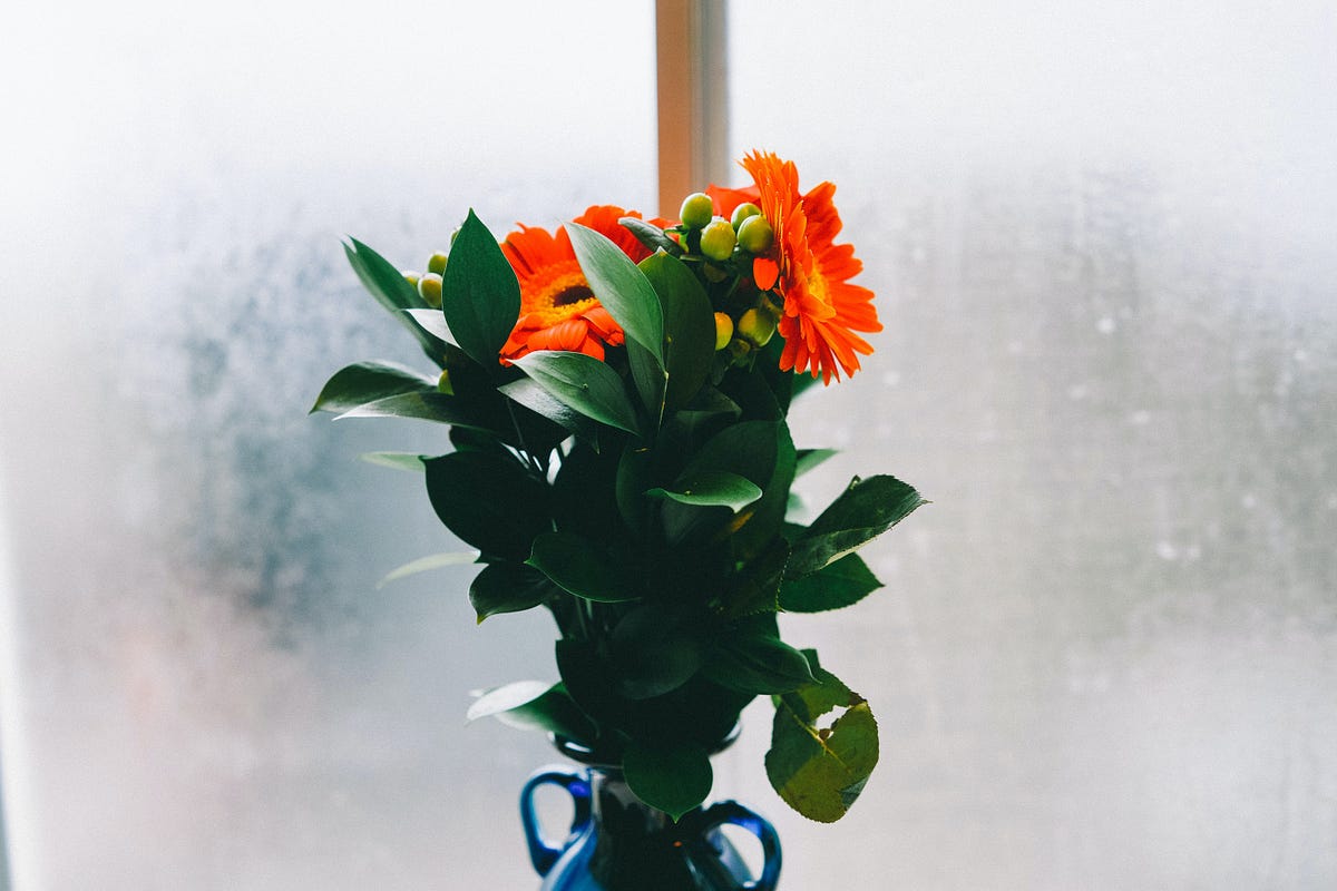 5 Tips for Living in Limbo. How to survive & thrive with an… | by ...
