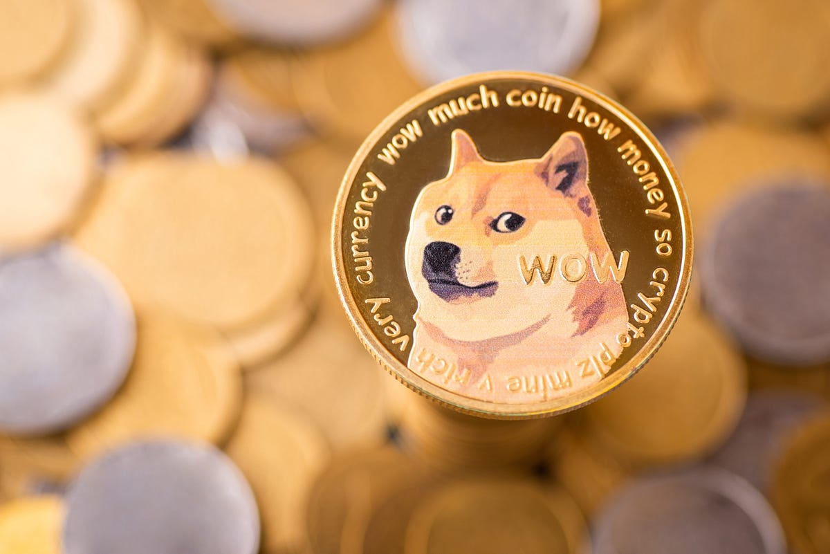 Meme Coins Unleashed: A Closer Look at the Fate of Dogecoin, Shiba Inu, and BONK | by OFP ...