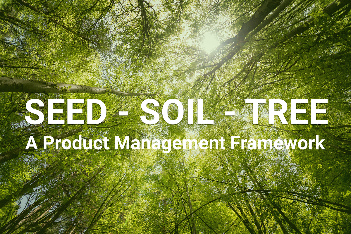 Seed, Soil, Tree: Nurturing Team Vision and Collaboration Through a ...