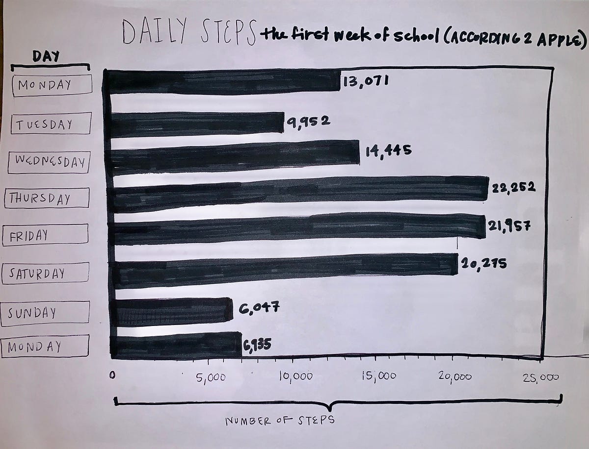 Visualizing Data First Homework. Visualizing my week through steps ...