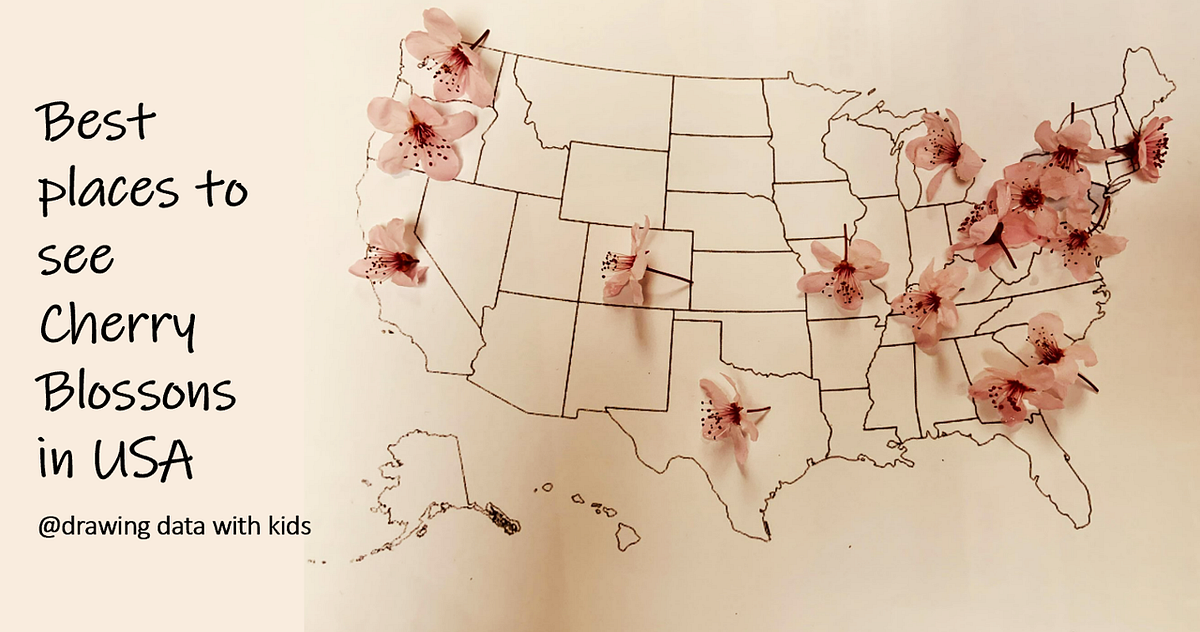 Finding My Way: A Journey Through Maps and Cherry Blossoms | by Gulrez ...