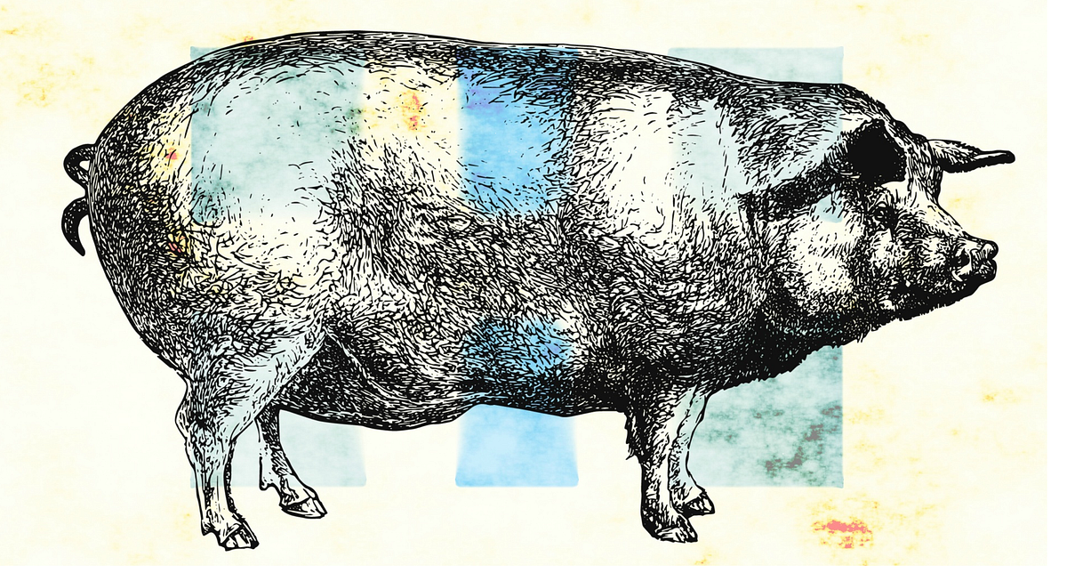 The Ballad Of Alexander Fig, The Outlaw Pig | by Bill Huts | Slackjaw ...