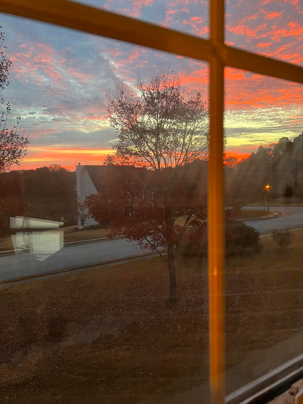 My office window presents me a gift each morning. I keep the blinds ...