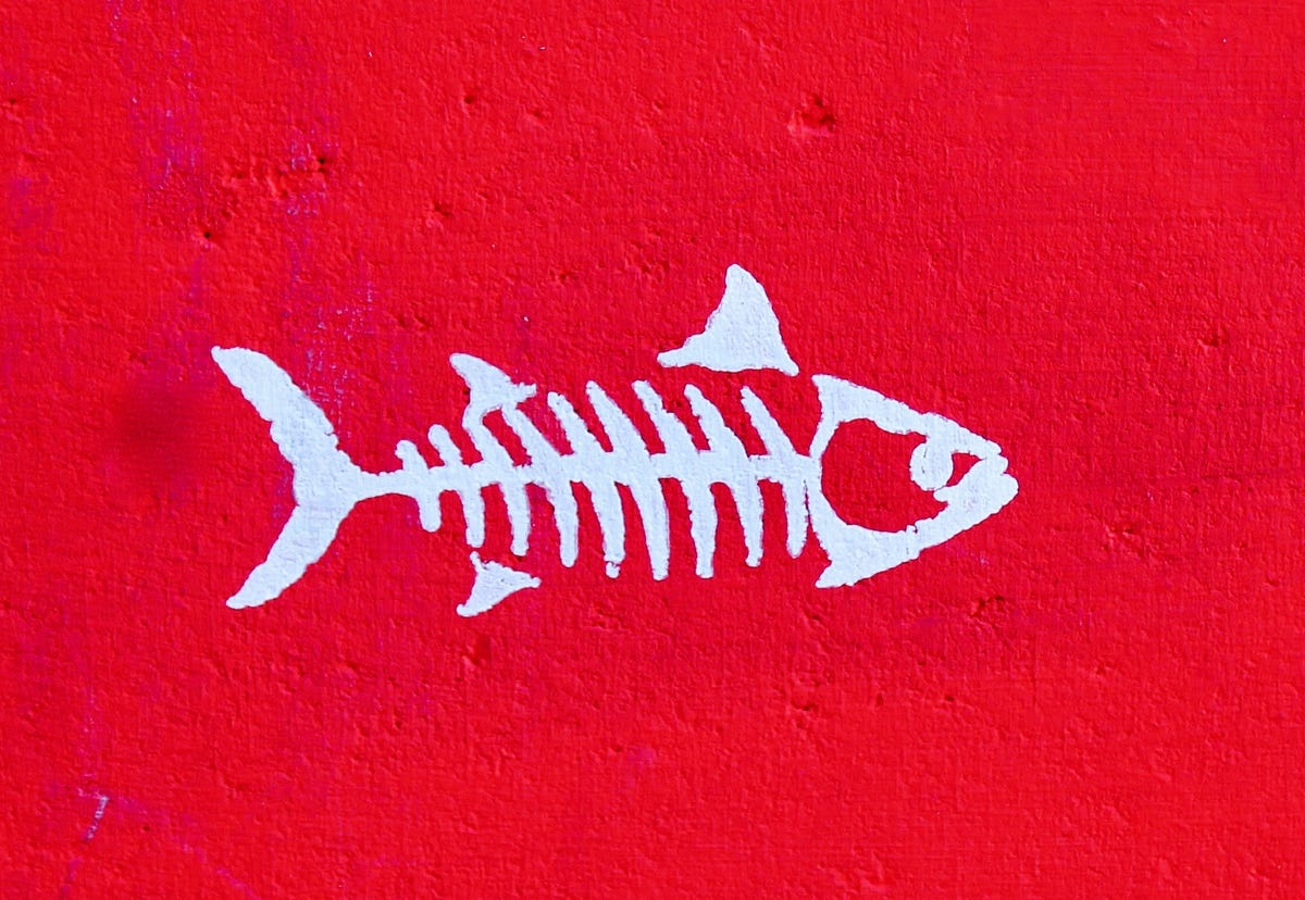Fish-bone in Her Gums - ILLUMINATION-Curated - Medium