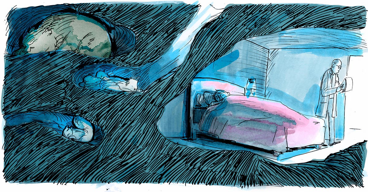 What Can Hibernation Do for Humans? | by Katharine Gammon | proto.life ...