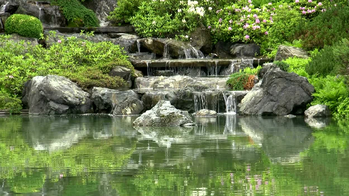 Pond of Tranquility: Meditation by a Calming Pond - Dan - Medium